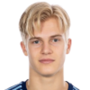 Lucas Bergvall (Tottenham Hotspur) perfil, estadísticas, valor de ...